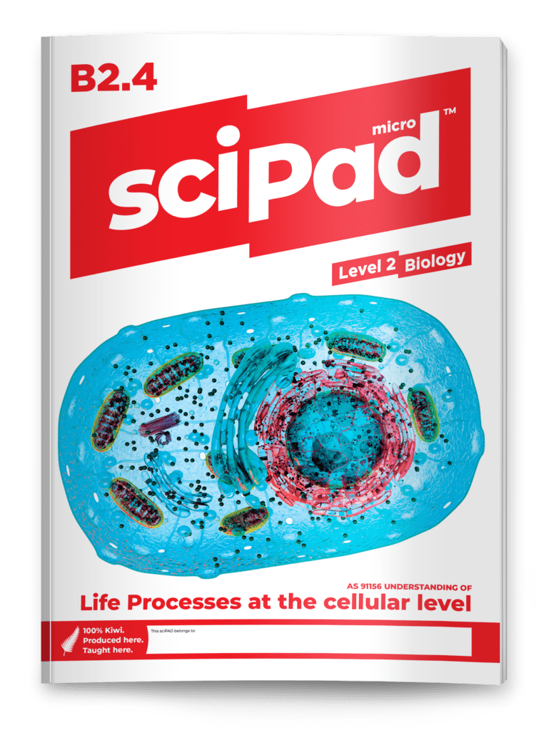 NCEA Level 2 Biology Internals Workbook & Study Guide | sciPAD NCEA Level 2 Biology Internals Workbook & Study Guide | sciPAD